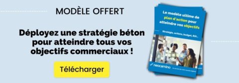 Plan d'action commercial : comment l'élaborer ? (+ exemple) - Neocamino